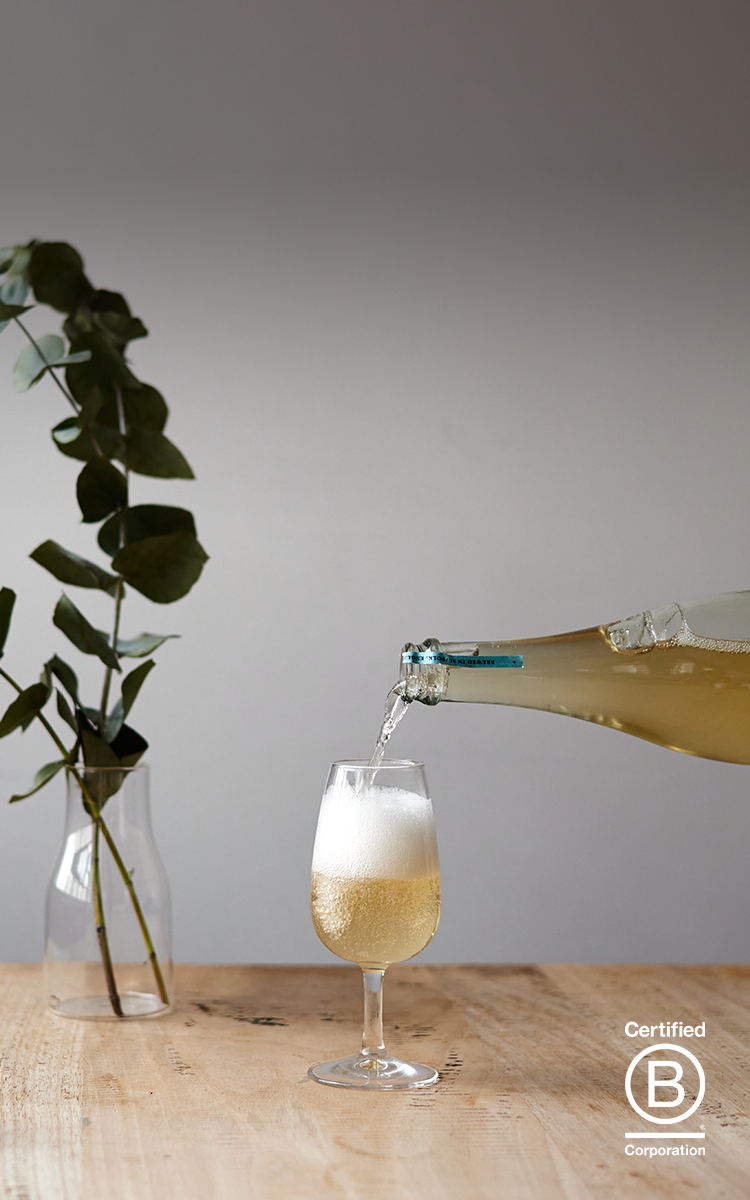 L.A Brewery: Kombucha & Non-alcoholic Drinks